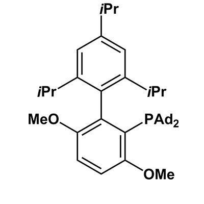 2-Diphenylphosphino-2'-(N,N-dimethylamino)biphenyl - Runyu Material